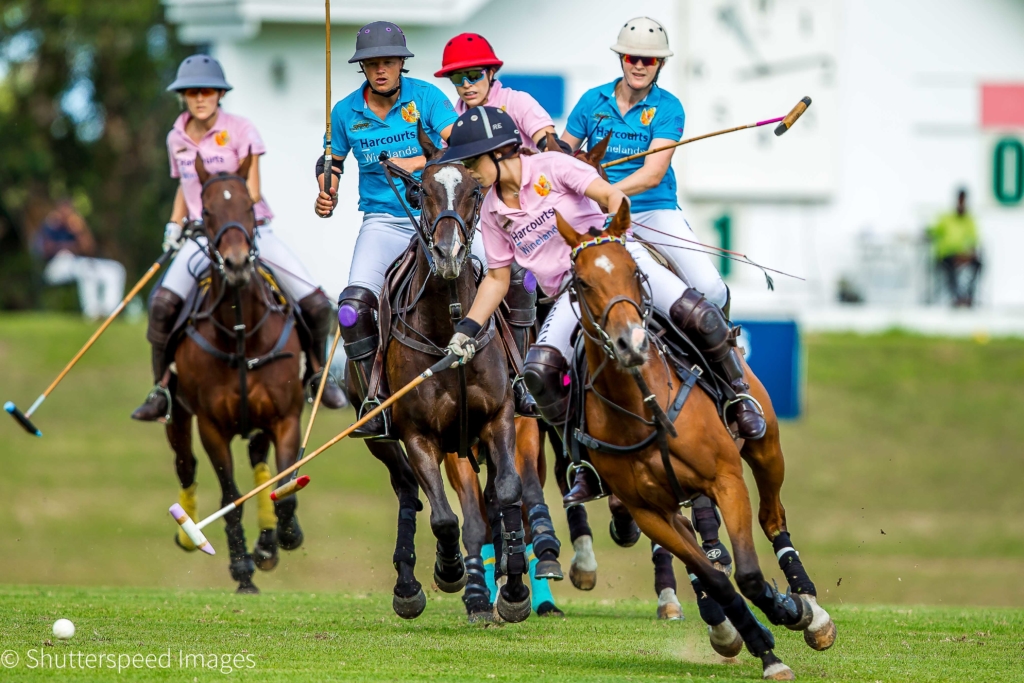 Ladies Festival of Polo - Plett Polo Club